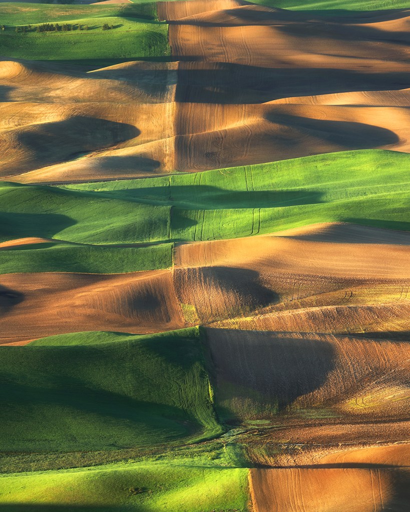The Palouse, Washington