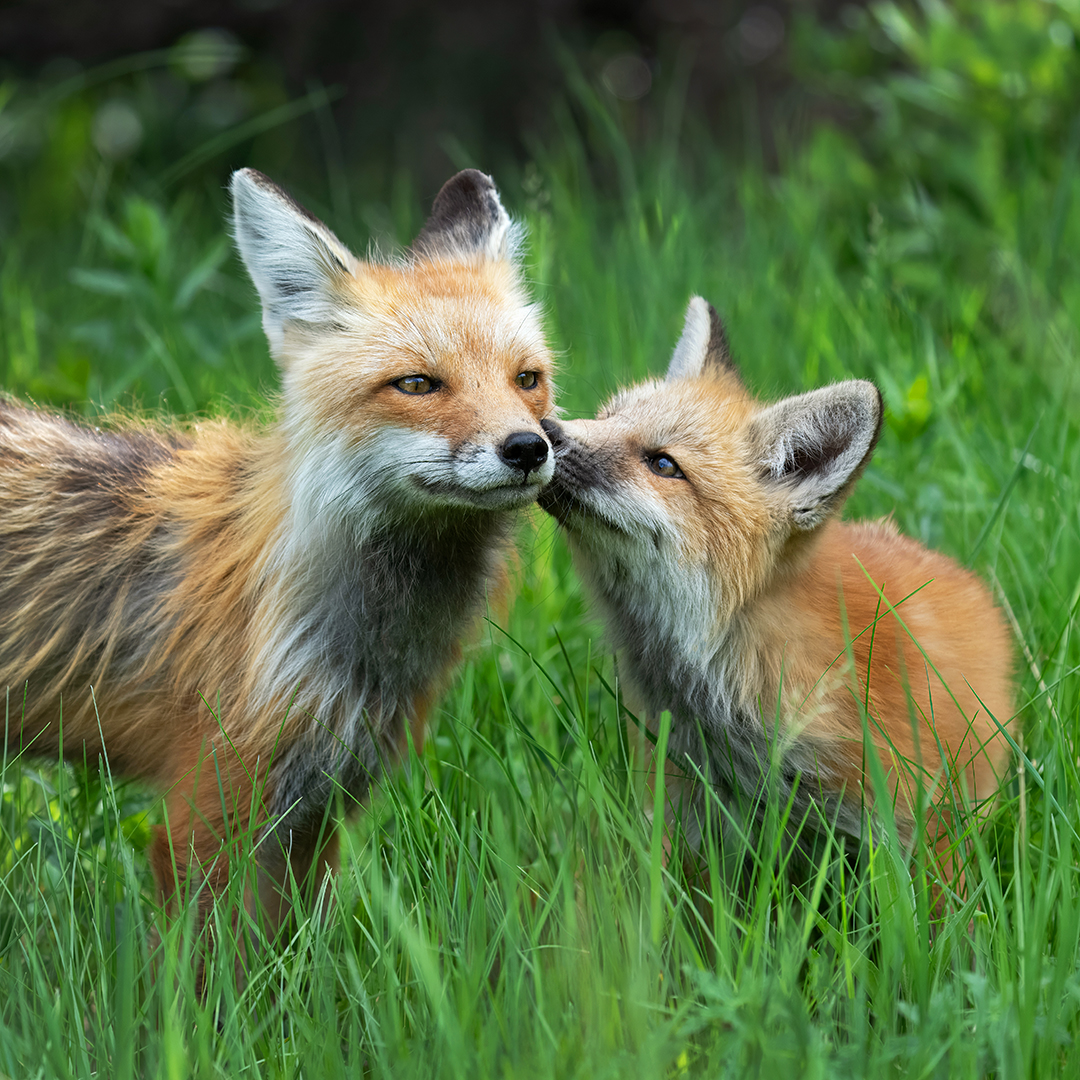 August 8, 2024 August 7, 2024